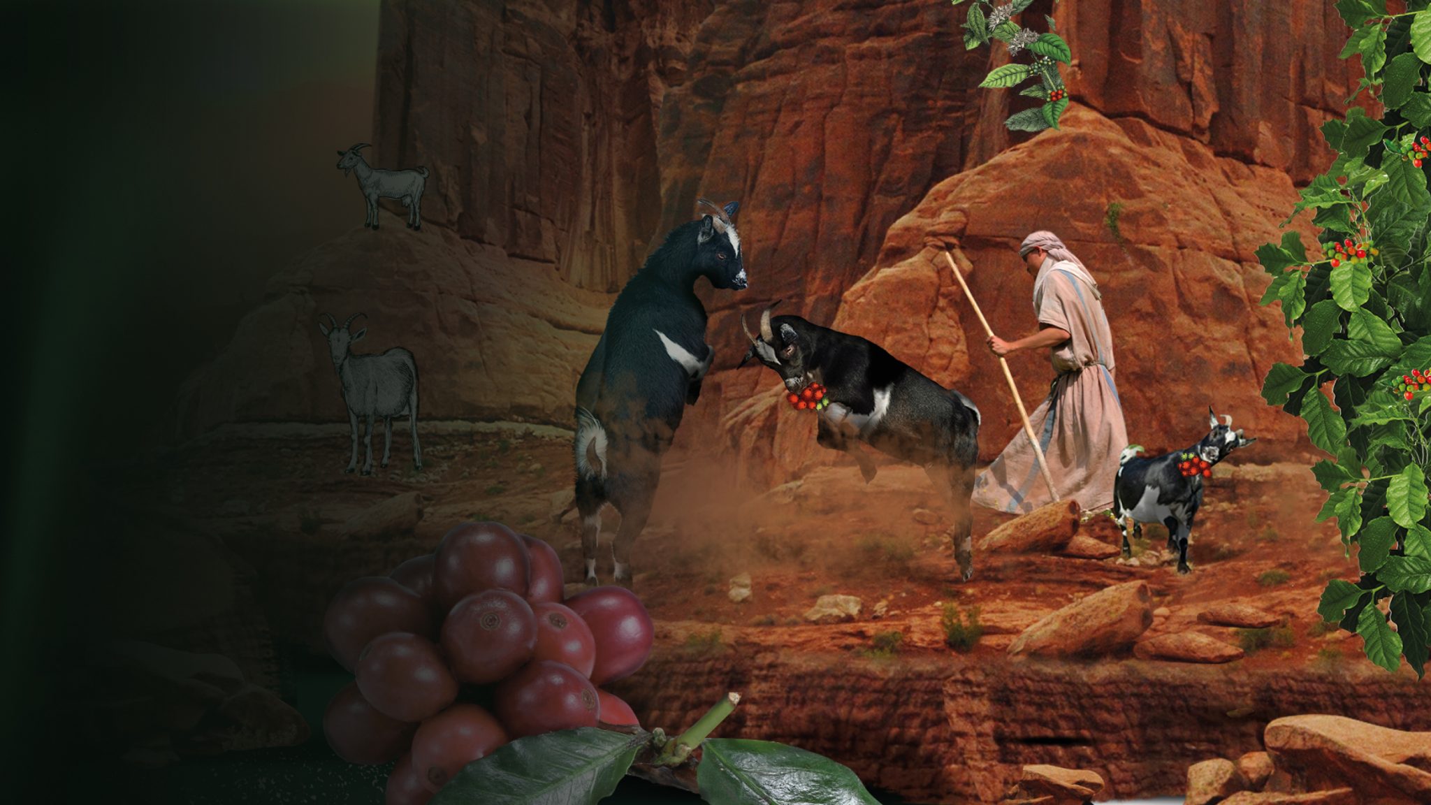 Brandstory – Gaya Gold Coffee